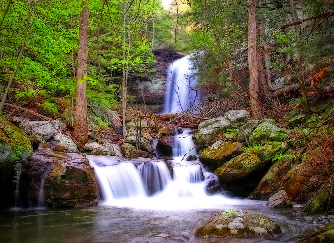 Inner Engineering Retreat by Isha in Tennessee