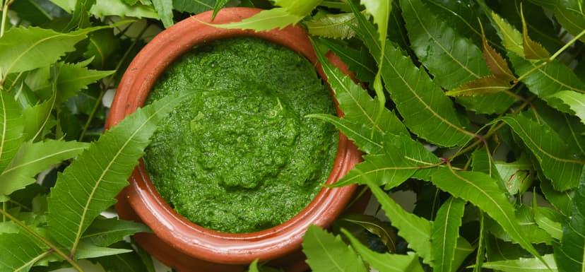 Isha Online Offerings