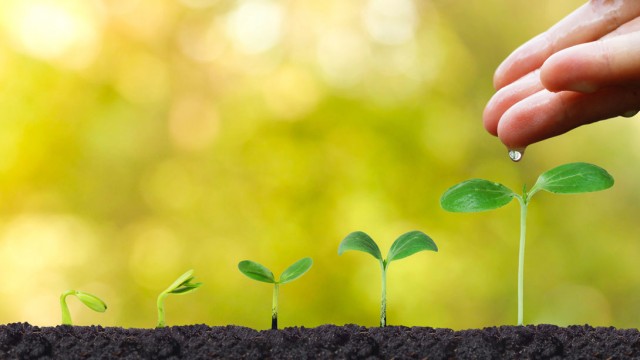 Working with Nature - InnerEngineering.com