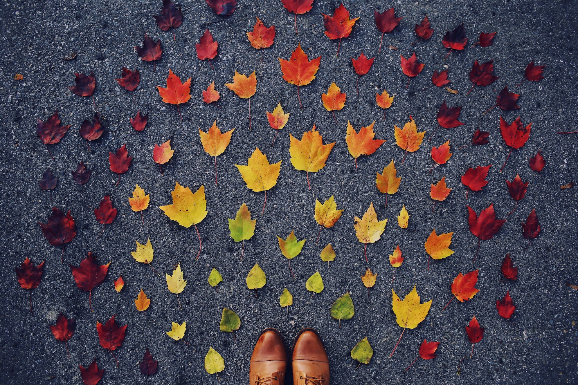 The Four Stages of Life - InnerEngineering.com